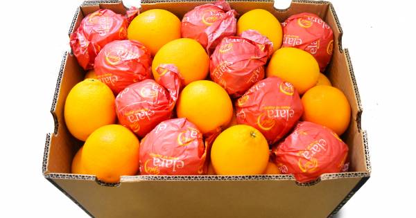 Buy Orange Egypt Online - Delivery in Singapore