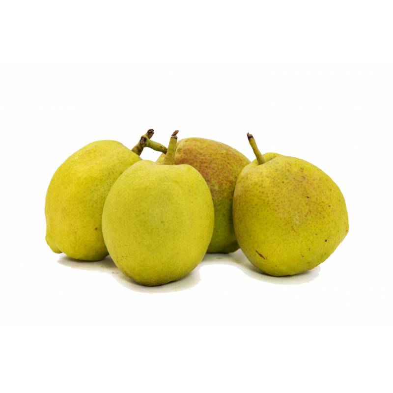 Buy Fragrant Pear Carton Online - Delivery in Singapore